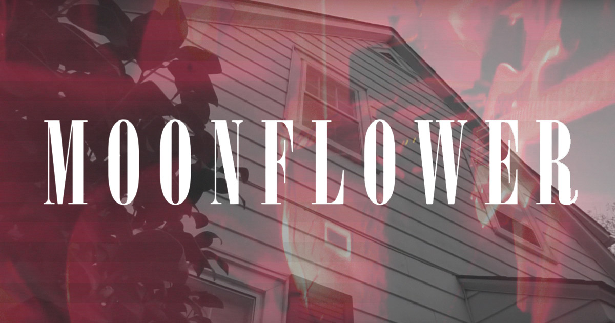 Moonflower Could be the Next “Big Deal” Band for Fans of Title Fight ...